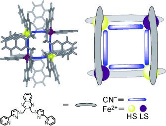 A Mixed‐Spin Molecular Square with a Hybrid [2×2]Grid/Metallocyclic ...