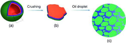 无机Janus纳米片,Angewandte Chemie International Edition - X-MOL
