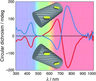 Intense Optical Activity from Three‐Dimensional Chiral Ordering of ...
