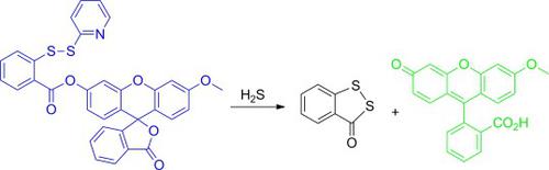 Capture and Visualization of Hydrogen Sulfide by a Fluorescent Probe ...