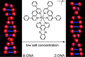 低盐浓度下由钌配合物诱导的序列独立的Z-DNA的形成,Angewandte Chemie International Edition - X-MOL