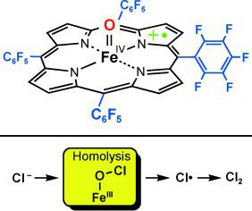 Oxidation of Chloride and Subsequent Chlorination of Organic Compounds ...
