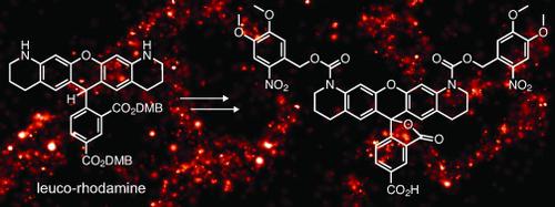 Facile and General Synthesis of Photoactivatable Xanthene Dyes ...