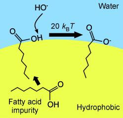 Why Are Hydrophobic/Water Interfaces Negatively Charged?,Angewandte ...