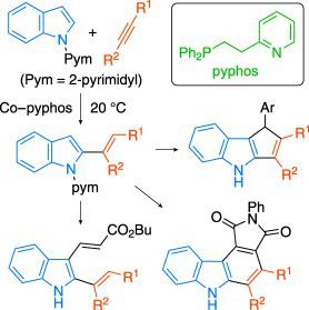 Mild and Efficient C2‐Alkenylation of Indoles with Alkynes Catalyzed by ...
