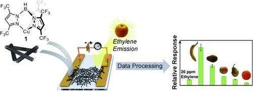 Selective Detection of Ethylene Gas Using Carbon Nanotube‐based Devices ...