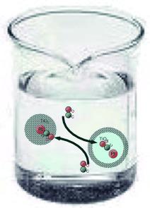 Diffusion through the Shells of Yolk–Shell and Core–Shell ...
