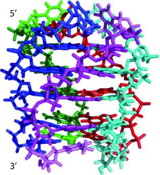Solution Structure of a Parallel‐Stranded Oligoisoguanine DNA Pentaplex ...