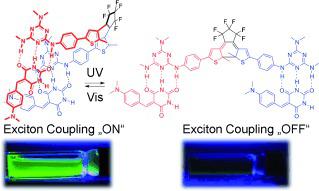 Photoswitchable Exciton Coupling in Merocyanine–Diarylethene Multi ...
