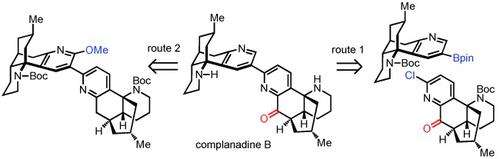 伪二聚石松生物碱的合成研究：Complanadine B 的全合成,Angewandte Chemie International ...