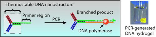 Thermostable Branched DNA Nanostructures as Modular Primers for ...