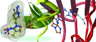 Nicotinic Acetylcholine Receptor Agonists: A Milestone for Modern Crop ...