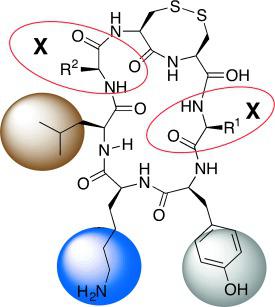 Vicinal Disulfide Constrained Cyclic Peptidomimetics: a Turn Mimetic ...