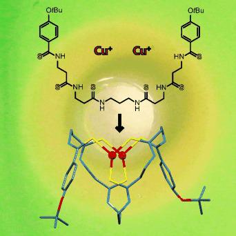 Formation of a Dinuclear Copper(I) Complex from the Clostridium‐Derived ...