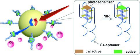 Targeted Bioimaging and Photodynamic Therapy Nanoplatform Using an ...