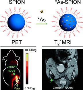 Chelator‐Free Synthesis of a Dual‐Modality PET/MRI Agent,Angewandte ...