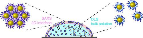 Crystallization of DNA‐Capped Gold Nanoparticles in High‐Concentration ...