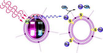 Activation of a Photodissociative Ruthenium Complex by Triplet–Triplet ...