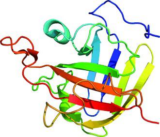 Total Chemical Synthesis of the Enzyme Sortase AΔN59 with Full ...