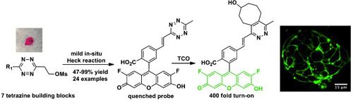 In Situ Synthesis of Alkenyl Tetrazines for Highly Fluorogenic ...