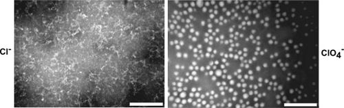 Chaotropic‐Anion‐Induced Supramolecular Self‐Assembly of Ionic ...