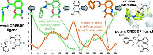 一系列有效的 CREBBP 溴结构域配体揭示了一个由阳离子-π 相互作用稳定的诱导拟合口袋,Angewandte Chemie ...