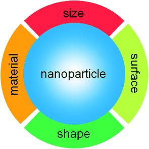 Engineered Nanoparticles for Drug Delivery in Cancer Therapy,Angewandte ...