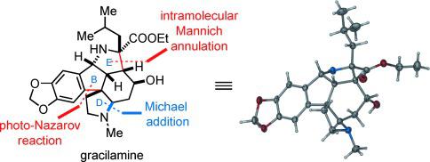 Total Synthesis of Gracilamine,Angewandte Chemie International Edition ...