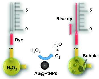 Au@Pt Nanoparticle Encapsulated Target‐Responsive Hydrogel with ...