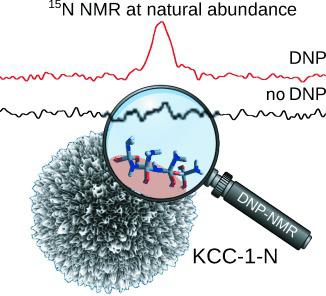 Insights into the Catalytic Activity of Nitridated Fibrous Silica (KCC ...
