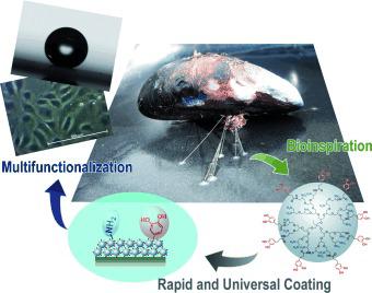 贻贝启发的树枝状聚合物作为通用多功能涂料,Angewandte Chemie International Edition - X-MOL