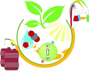 Artificial Photosynthesis for Sustainable Fuel and Chemical Production ...