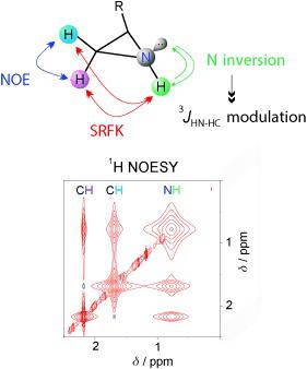 碳取代氮丙啶的异常核富勒效应：第一类标量交叉弛豫,Angewandte Chemie International Edition - X-MOL