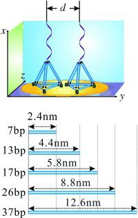 Programmable Engineering of a Biosensing Interface with Tetrahedral DNA ...