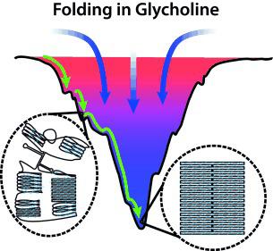 Folding and Imaging of DNA Nanostructures in Anhydrous and Hydrated ...