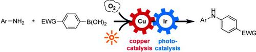 Visible‐Light‐Mediated Chan–Lam Coupling Reactions of Aryl Boronic ...