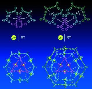 Facile Self‐Assembly of Metallo‐Supramolecular Ring‐in‐Ring and ...