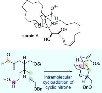 Formal Synthesis of Sarain A: Intramolecular Cycloaddition of an Eight ...