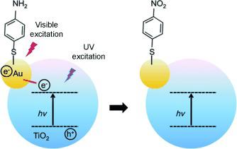 Controlling the Selectivity of the Surface Plasmon Resonance Mediated ...
