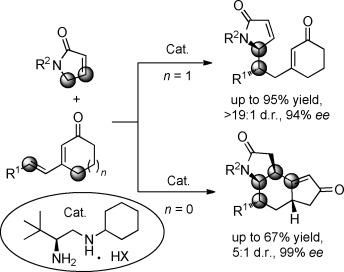 Direct Catalytic Asymmetric Doubly Vinylogous Michael Addition of α,β ...