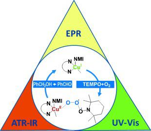 Selective Alcohol Oxidation by a Copper TEMPO Catalyst: Mechanistic ...