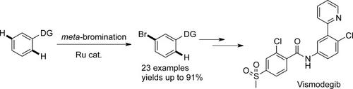 Directed meta‐Selective Bromination of Arenes with Ruthenium Catalysts ...