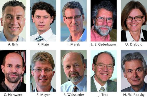 Hirata Award for Ashraf Brik/Liebig Lectureship for Rafal Klajn/Chaim ...