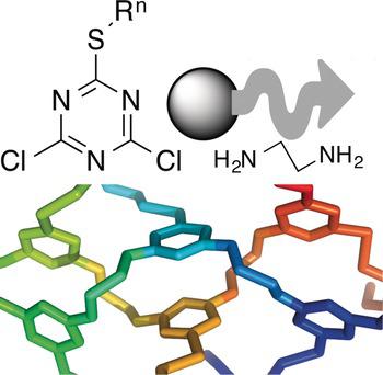 Triazine-Based Sequence-Defined Polymers with Side-Chain Diversity and ...