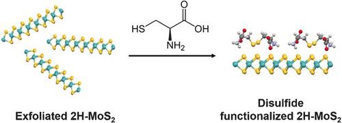 二维MoS2的功能化：MoS2与有机硫醇之间的反应,Angewandte Chemie International Edition - X-MOL