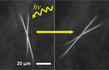 Photoinduced Ratchet‐Like Rotational Motion of Branched Molecular ...