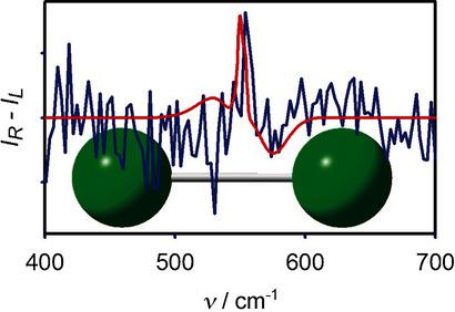 Diamagnetic Raman Optical Activity of Chlorine, Bromine, and Iodine ...