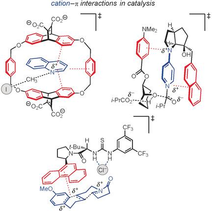 小分子催化中的阳离子-π相互作用,Angewandte Chemie International Edition - X-MOL