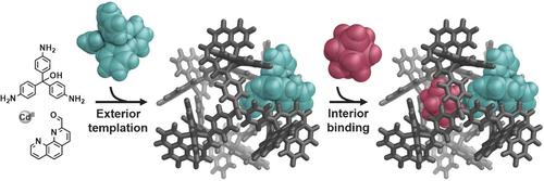 Peripheral Templation Generates an MII6L4 Guest‐Binding Capsule ...