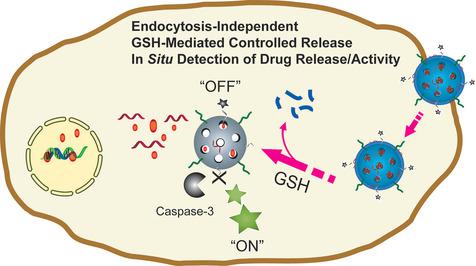 Cell‐Penetrating Poly(disulfide) Assisted Intracellular Delivery of ...
